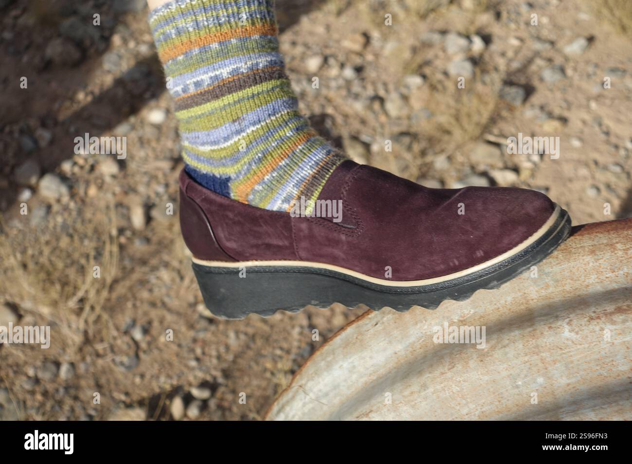 shoe model displaying a pair of tan suede shoes and bespoke socks Stock ...