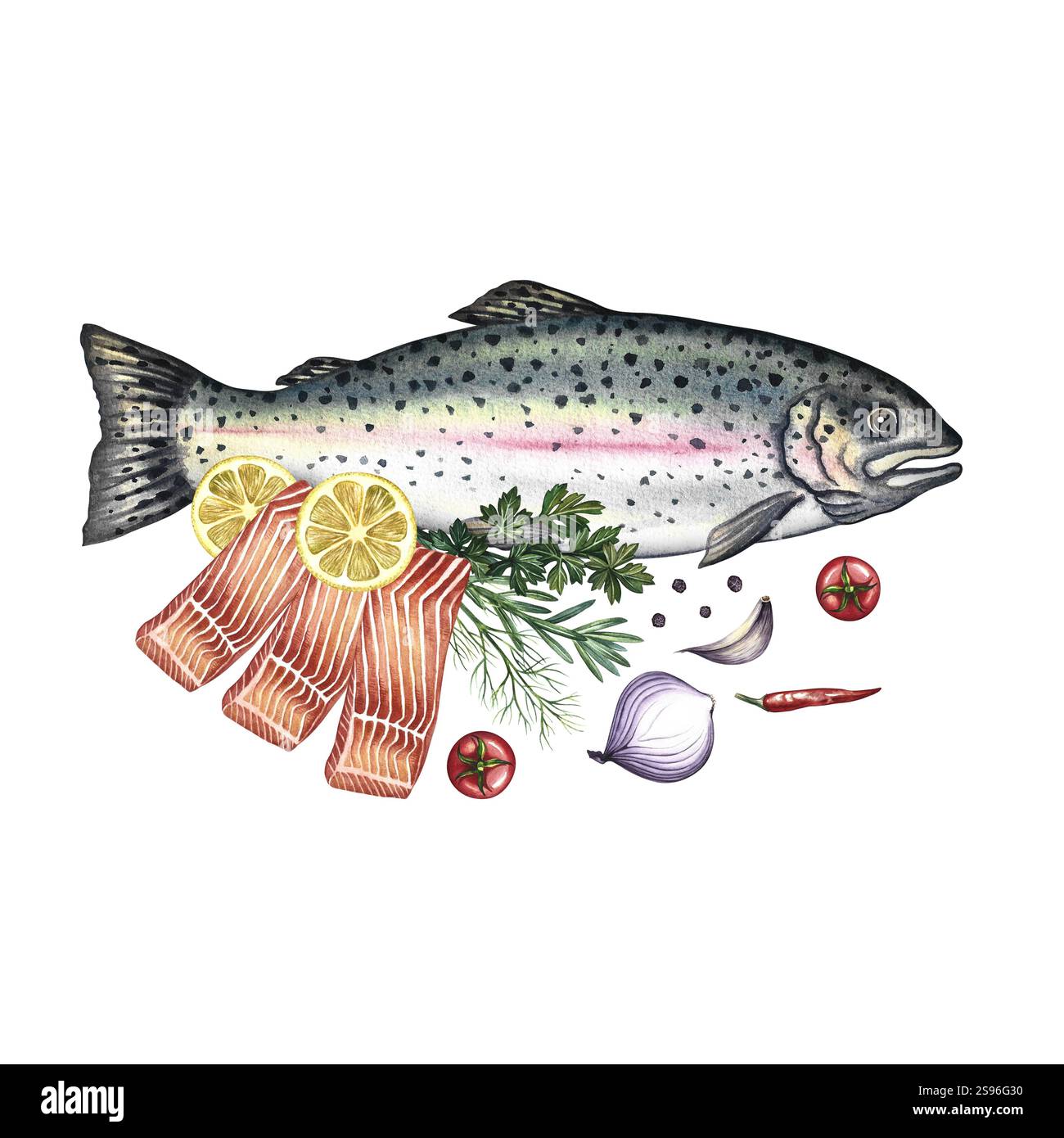 Trout, whole and sliced, with vegetables. A hand-drawn watercolor ...