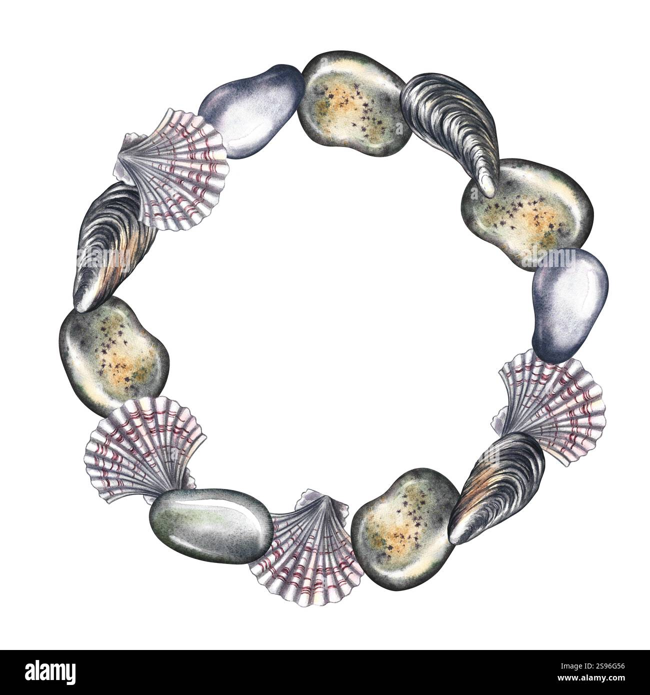 A round composition of shells and pebbles. A hand-drawn watercolor ...