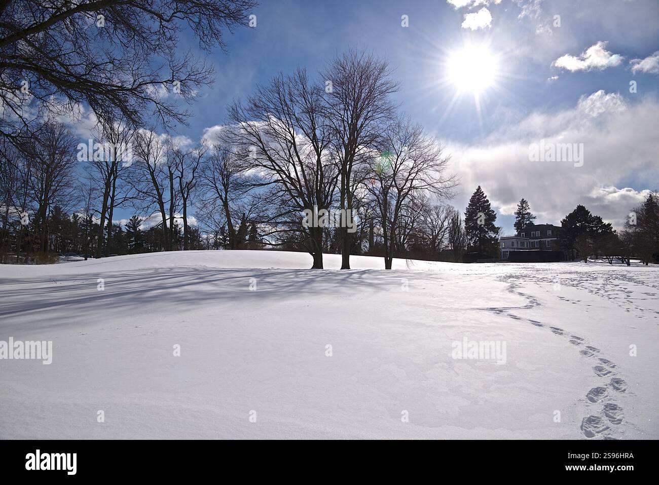 Fresh footprints in green hi-res stock photography and images - Alamy