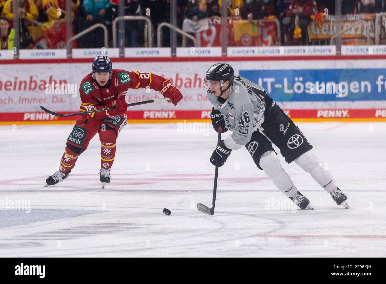 Kevin Niedenz (Koelner Haie, #46) gegen Alexander Ehl (Duesseldorfer EG ...