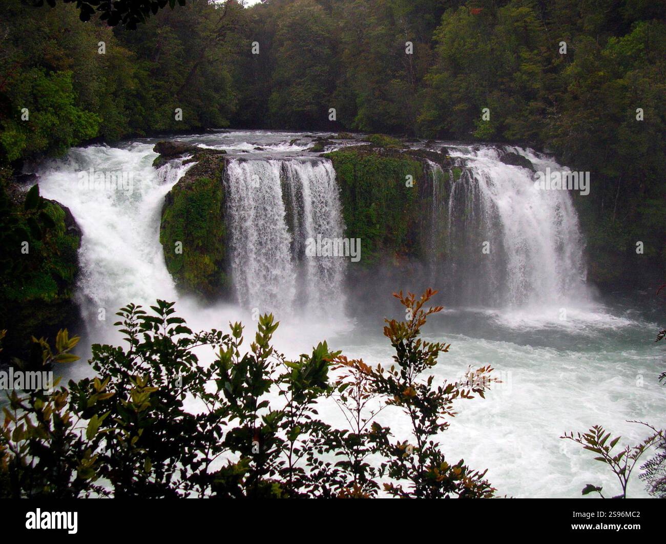 a river with floating water, a natural watercourse and landscape a ...