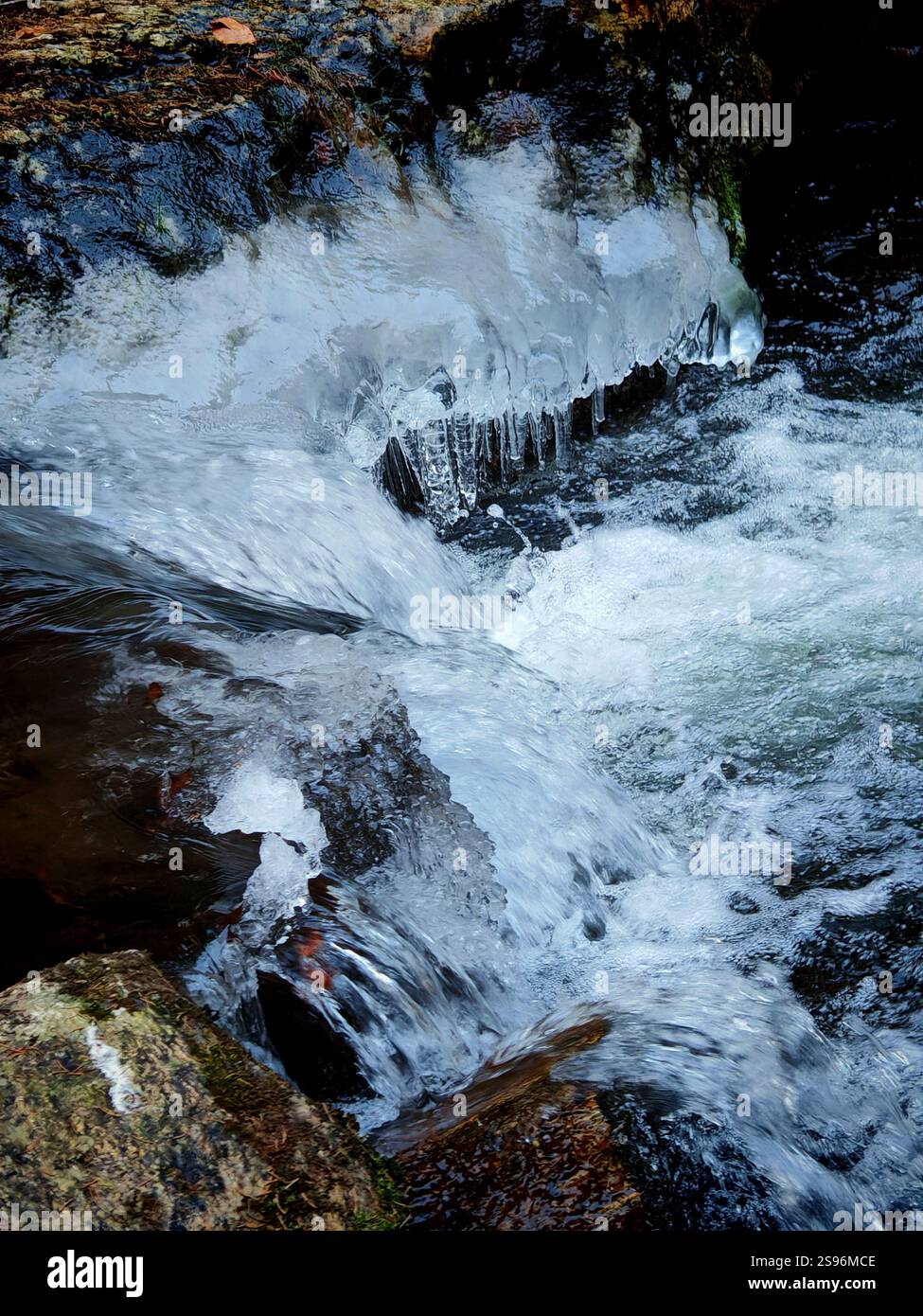 a river with floating water, a natural watercourse and landscape a ...