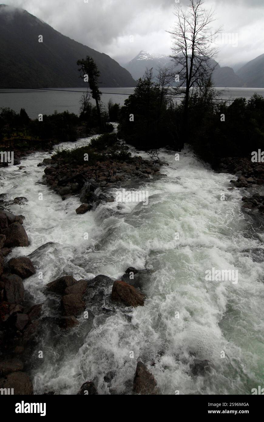 a river with floating water, a natural watercourse and landscape a ...