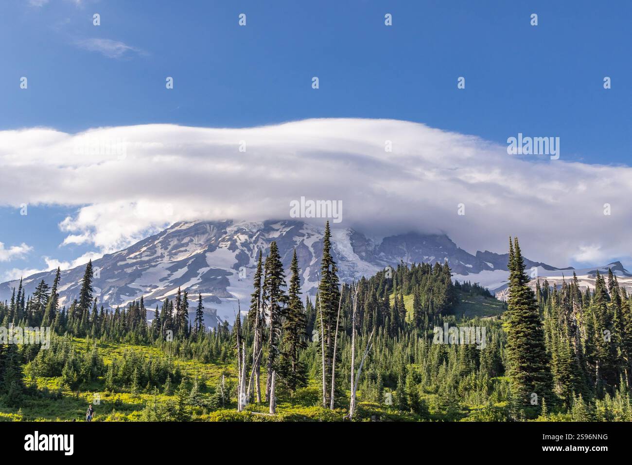 Mount Rainier National Park, Washington, United States. Cap cloud on ...