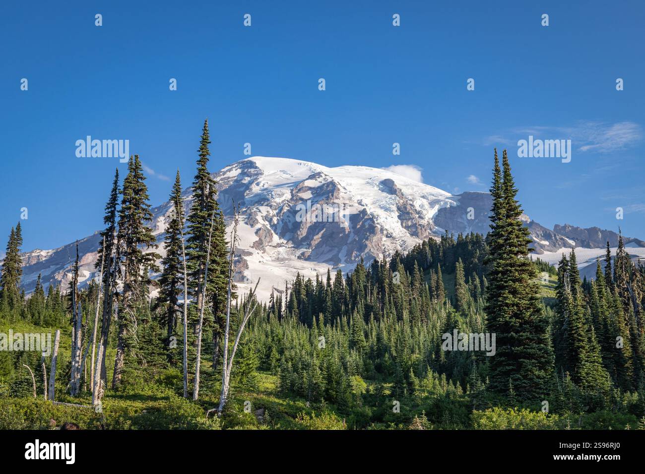 Mount Rainier National Park, Washington, United States. Late afternoon ...