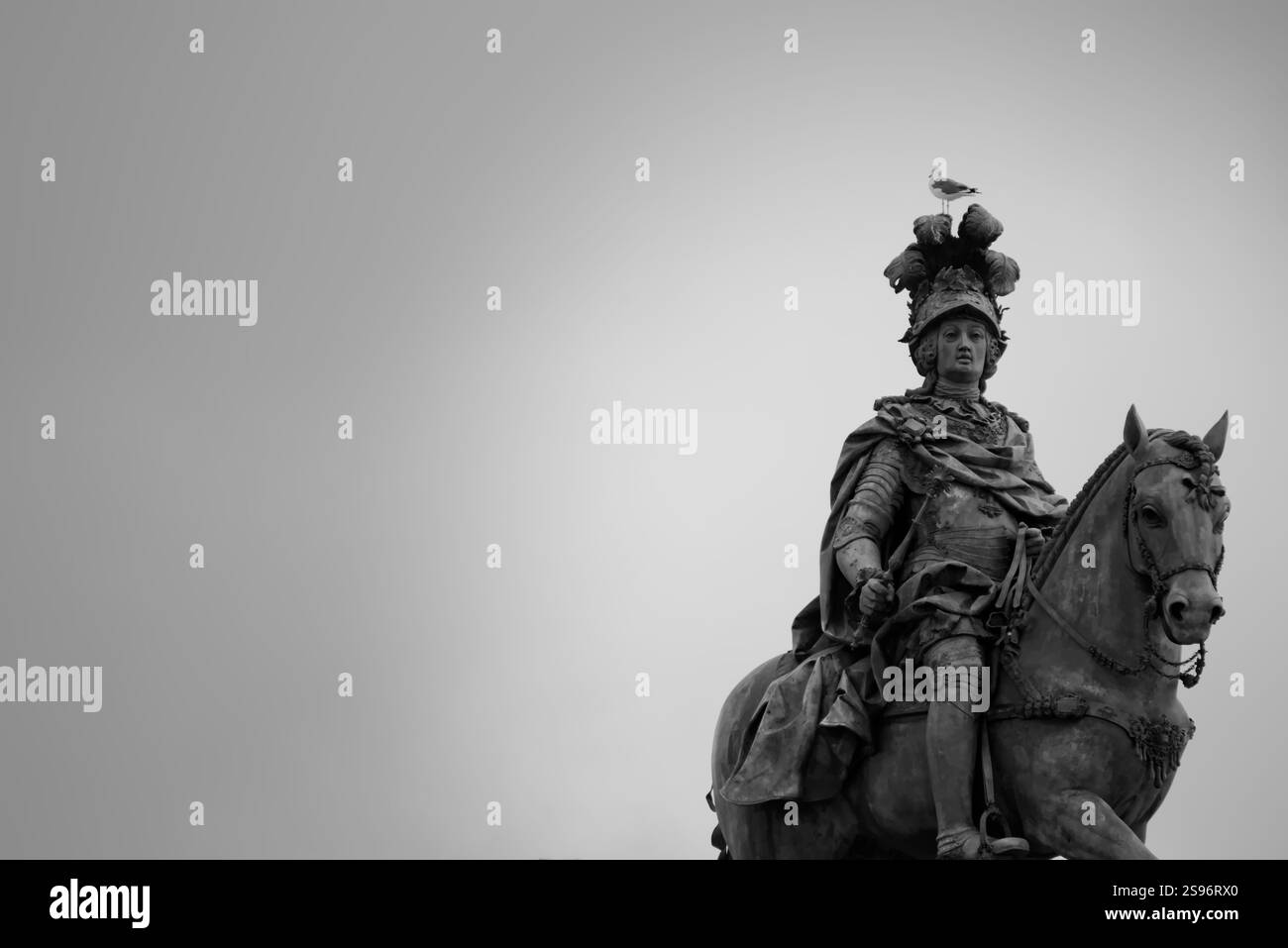 Bird on head Black and White Stock Photos & Images - Alamy