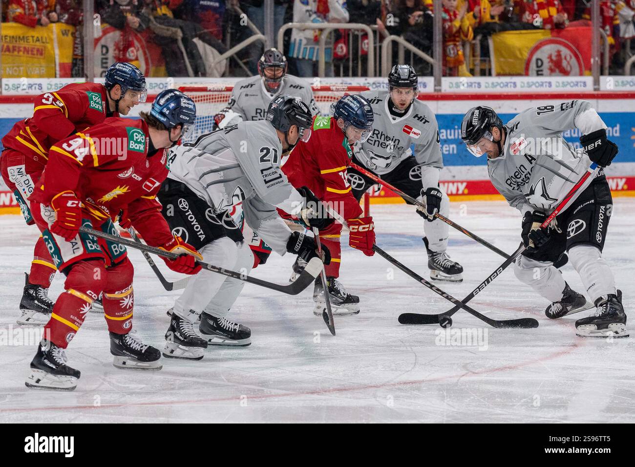 Josh Currie (Koelner Haie, #18) entscheidet den Bully fuer sich, GER ...