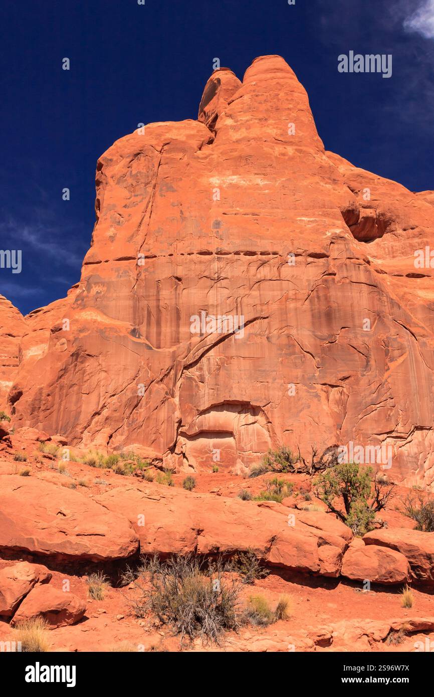 A large rock formation with a small tree growing out of it. The rock ...