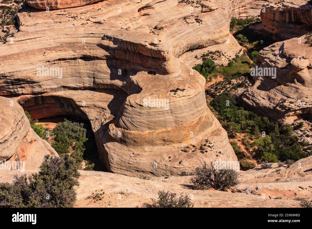 Natural Bridges National Monument is a U.S. National Monument located ...