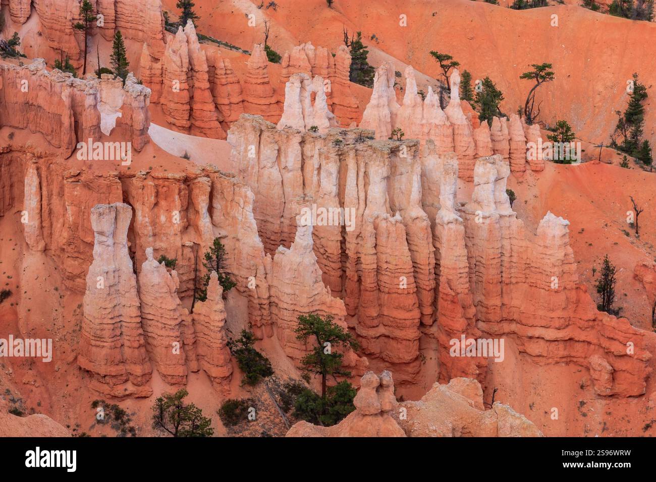Sunset Point offers vistas of some of the most famous and breathtaking ...