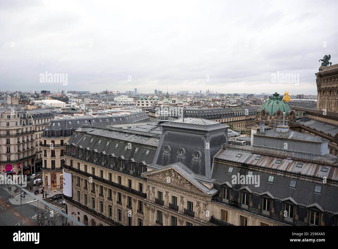 A scenic view of Paris rooftops featuring intricate architectural ...