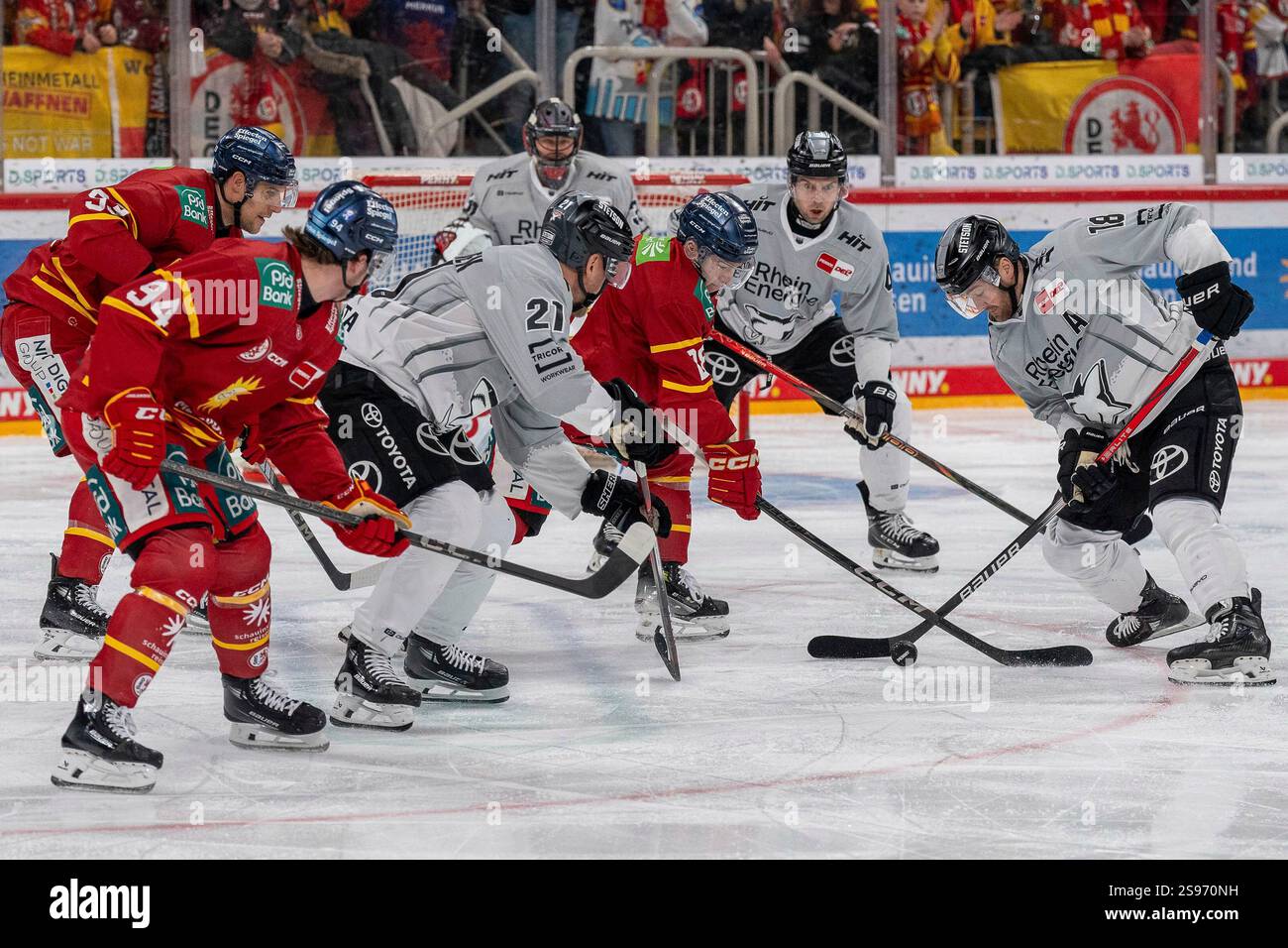 Josh Currie (Koelner Haie, #18) entscheidet den Bully fuer sich, GER ...