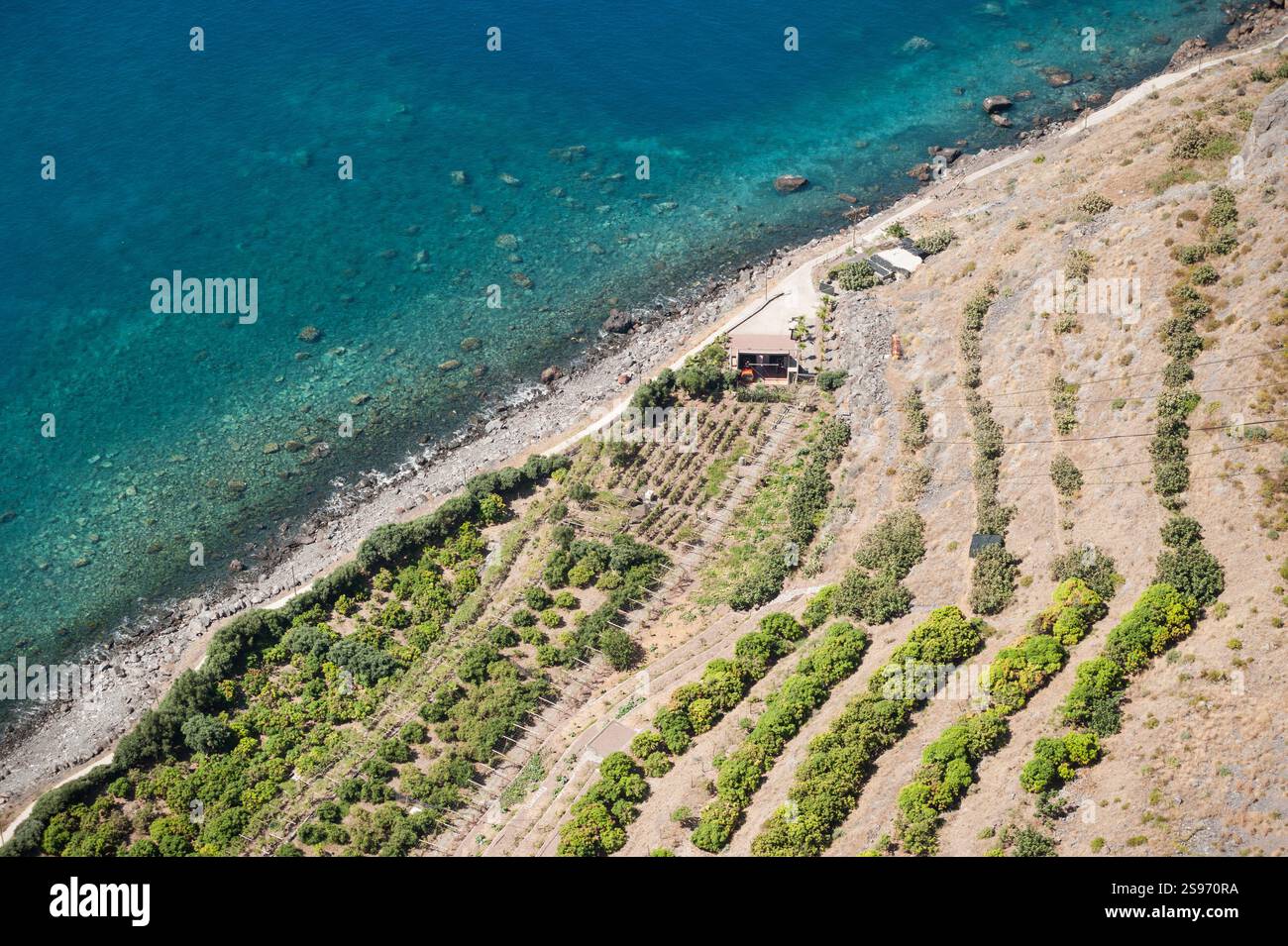 Coastal Terraces with House and Clear Ocean Water. Madeira Portugal ...