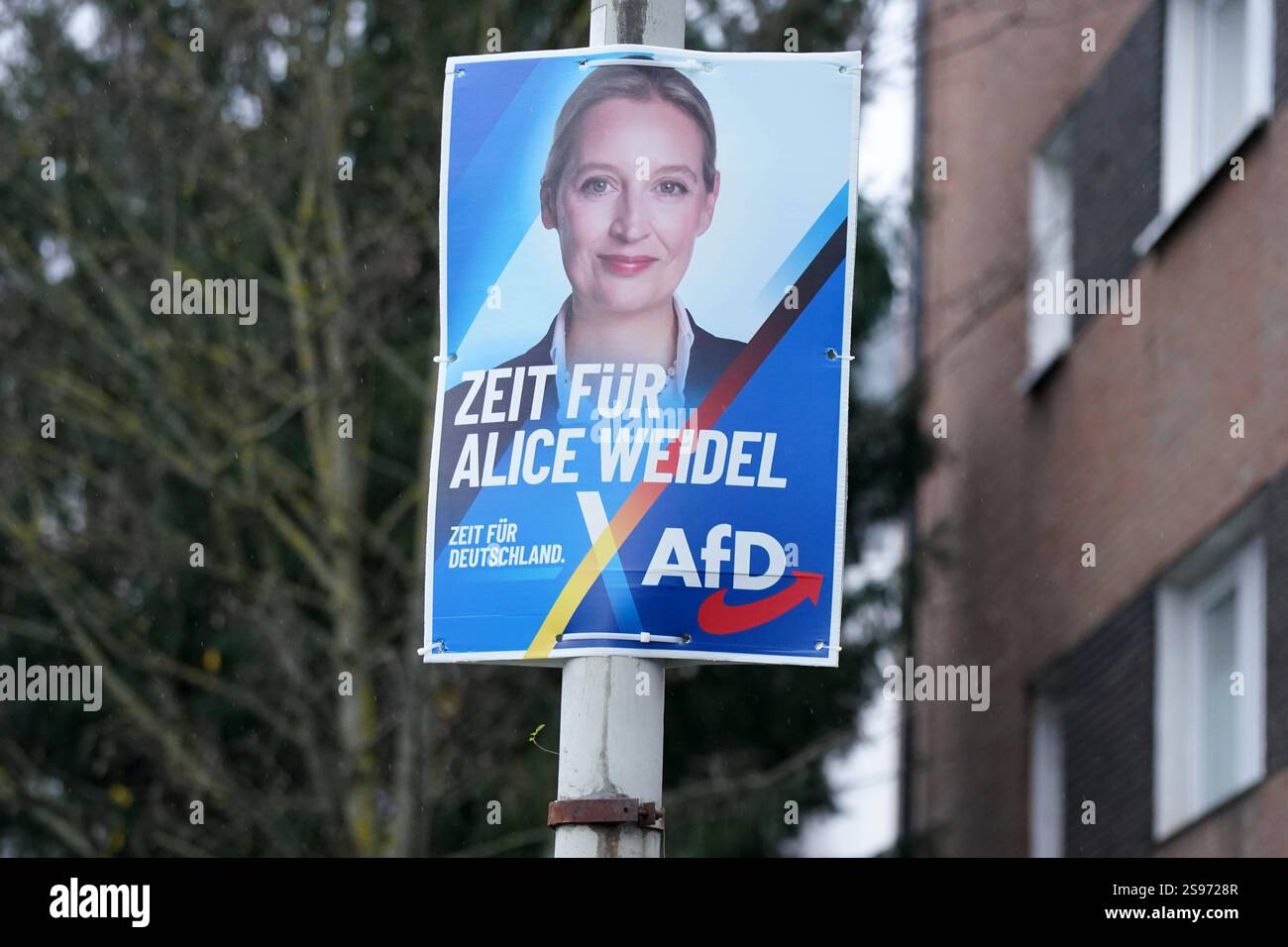 Köln, Wahlkampfplakate zur Bundestagswahl zum 21. Deutschen Bundestag ...