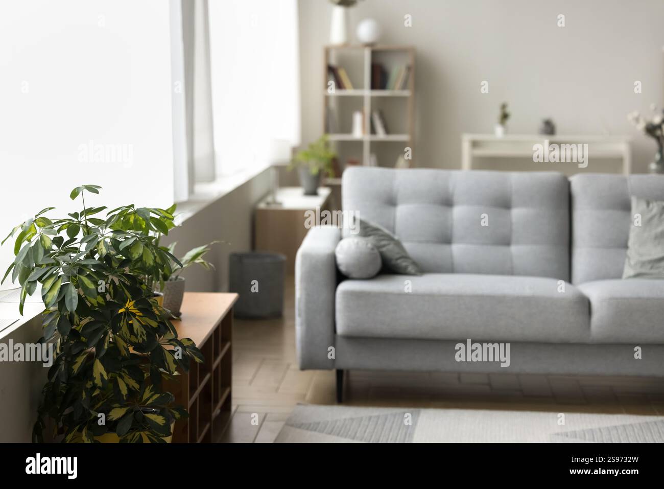 Home interior design light comfy empty living room without people Stock ...