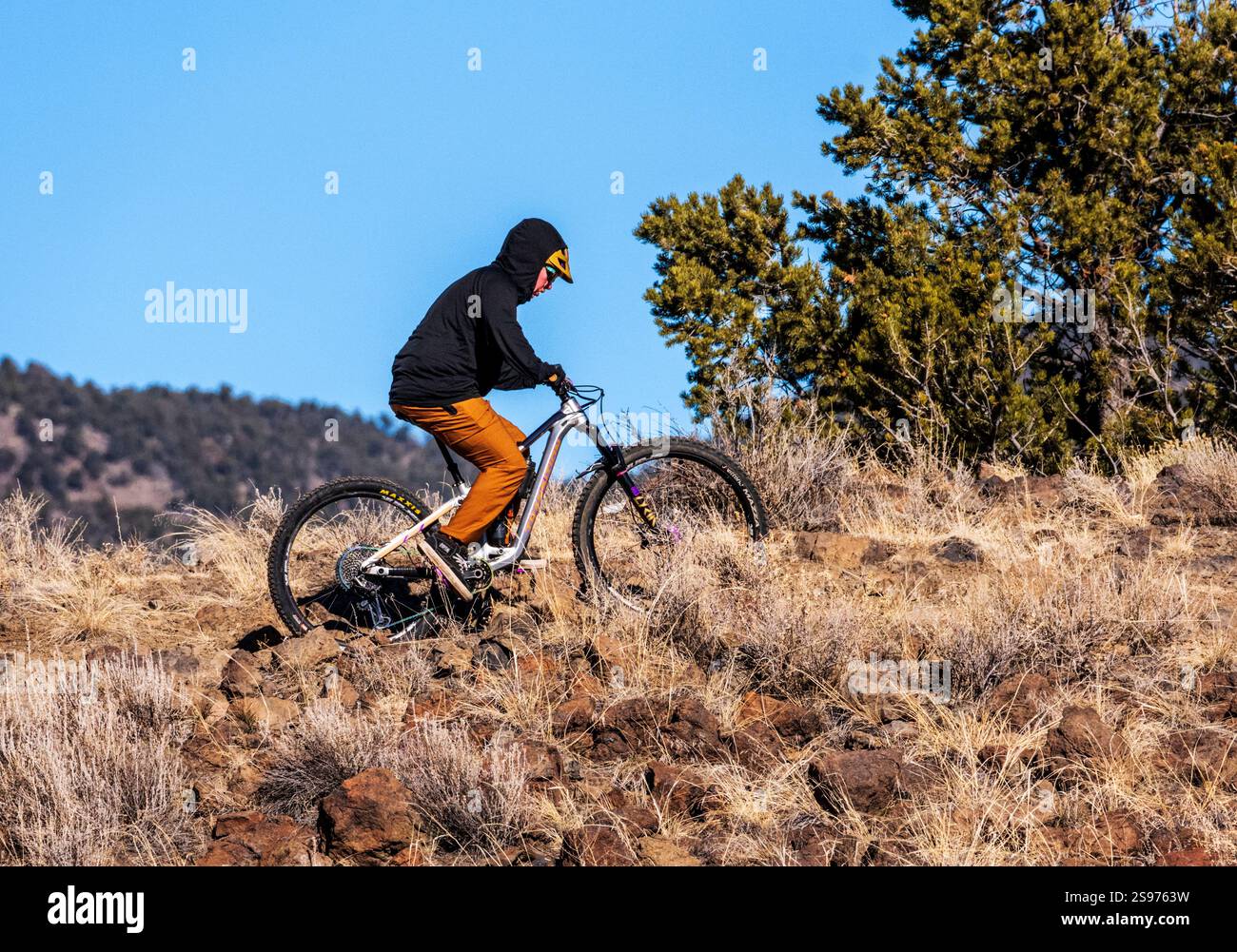 Male mountain biker riding Salida Mountain Trails; Tenderfoot Mountain; Salida; Colorado; USA ...