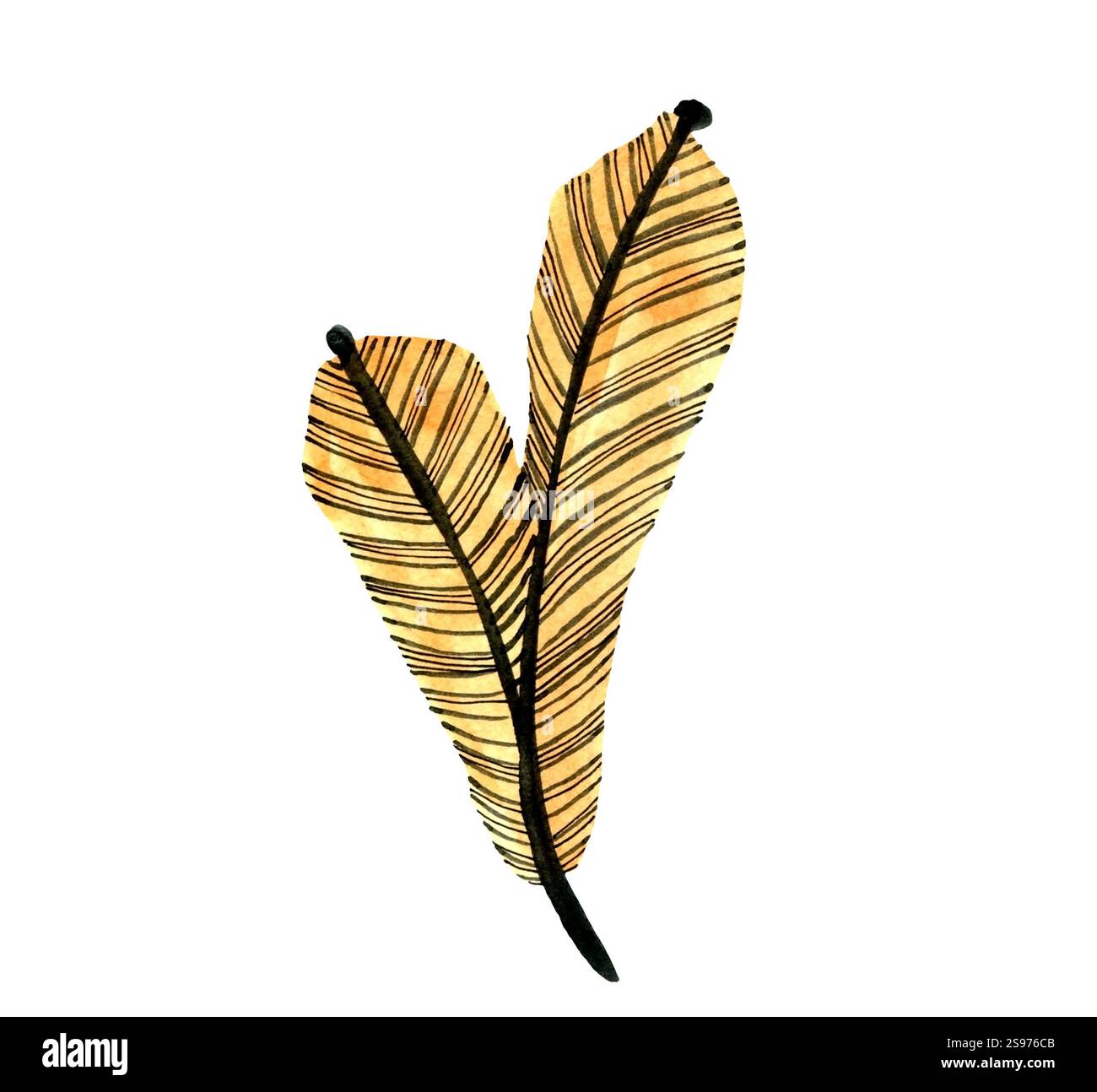 Watercolor golden pine tree twig hand drawn design element. Unusual ...