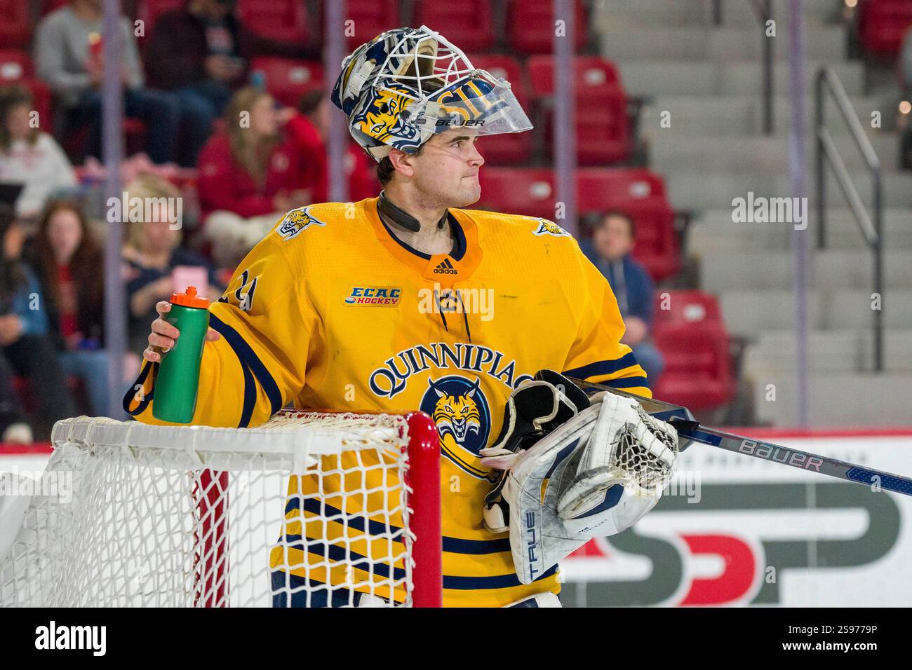 January 24, 2025: Quinnipiac Bobcats Dylan Silverstein (29) looks at ...