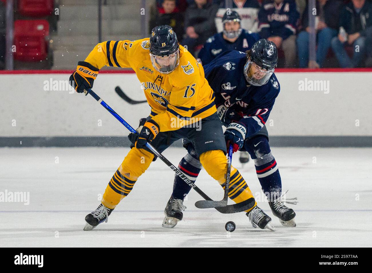 January 24, 2025: Quinnipiac Bobcats Jack Ricketts (15) battles for the ...