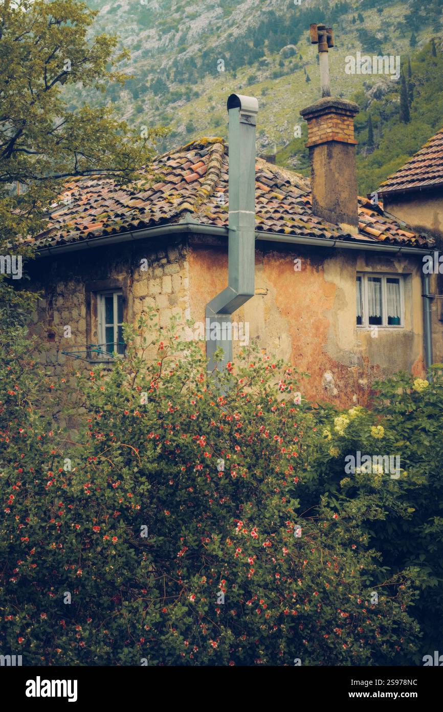 Rustic Stone Cottage with Overgrown Garden Stock Photo - Alamy