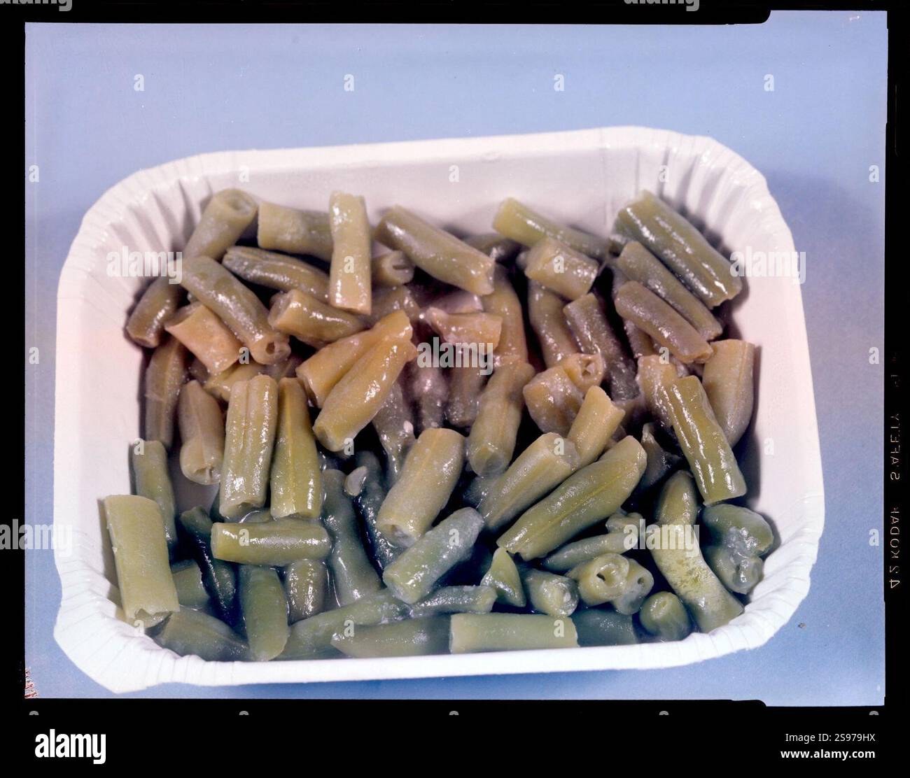 Green beans, by the U.S. Army Natick Soldier Systems Center, 1977 Stock ...
