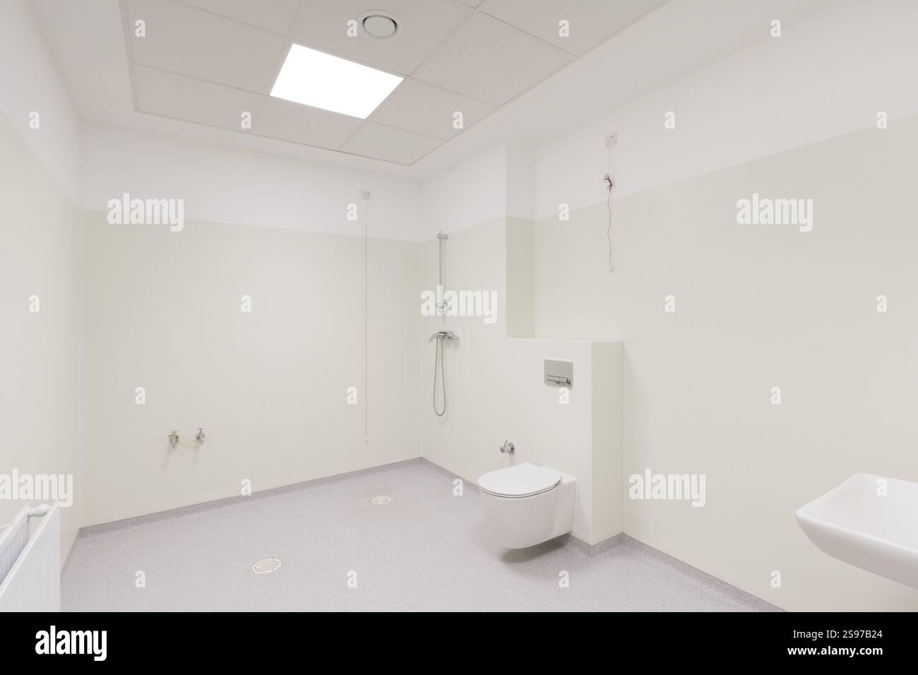 Empty Modern Bathroom with Shower, Sink and Toilet Stock Photo - Alamy