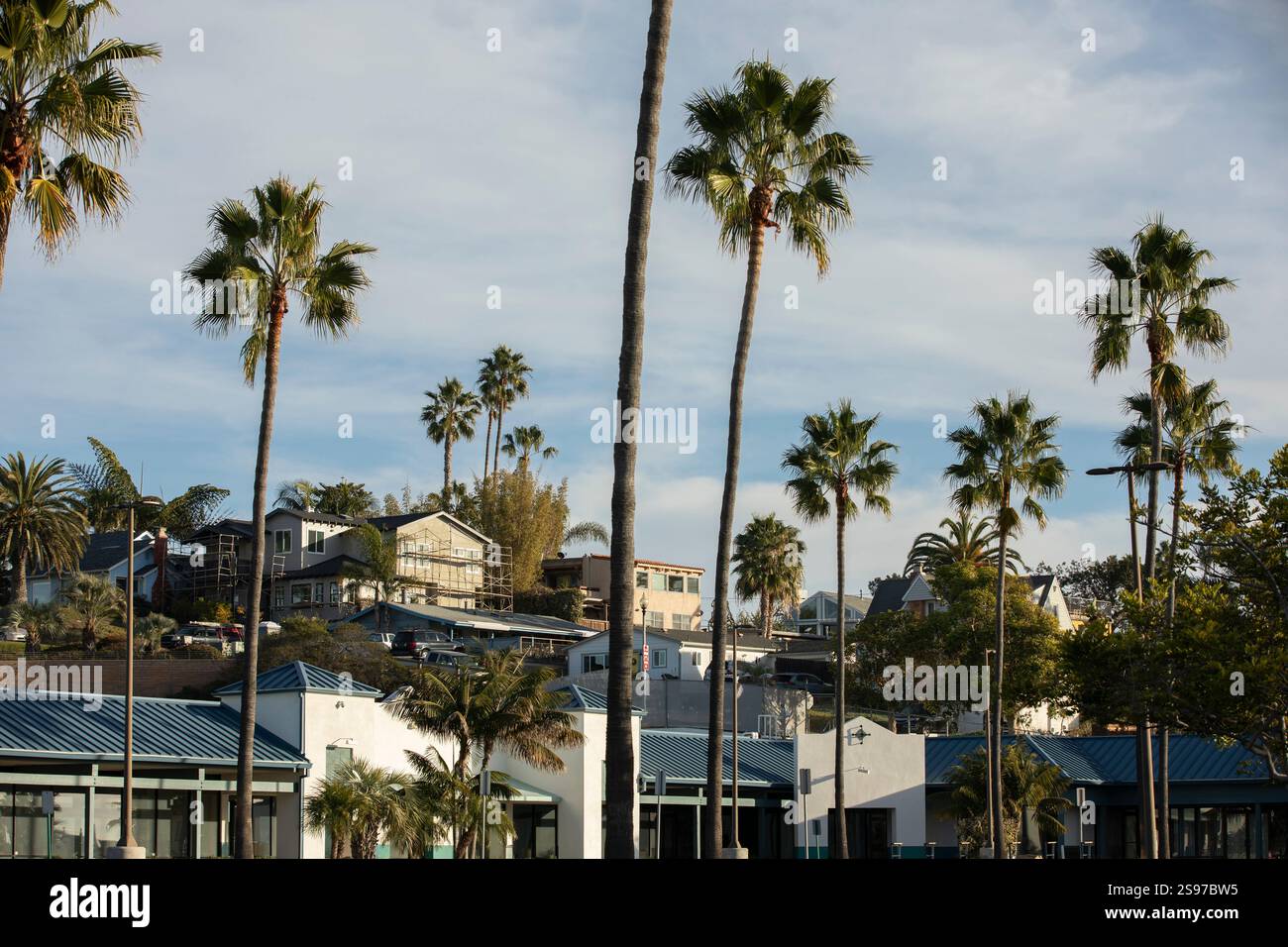 Beautiful palm trees and buildings on a warm afternoon in downtown ...