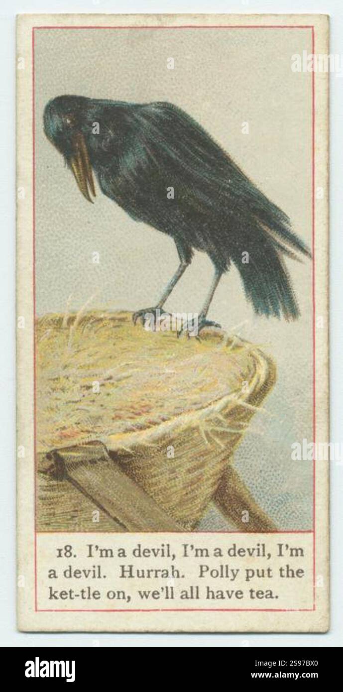 Barnaby rudge raven hi-res stock photography and images - Alamy
