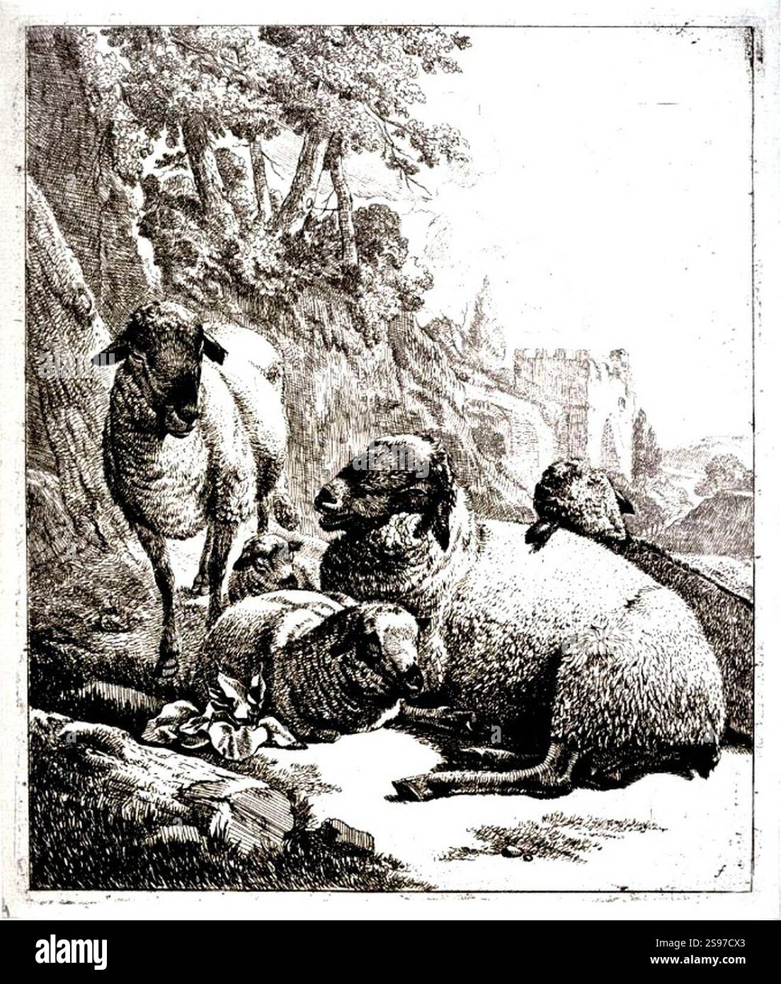 Group of Five Sheep Stock Photo - Alamy