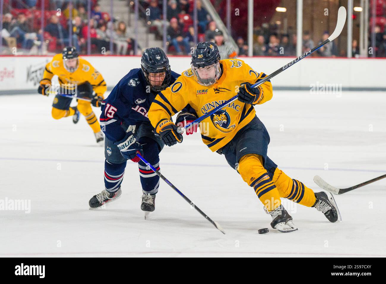 January 24, 2025: Quinnipiac Bobcats Mason Marcellus (20) battles for ...