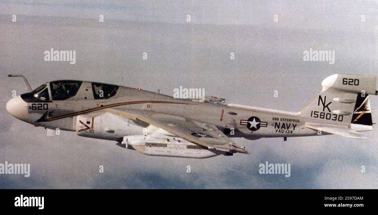 Grumman EA-6B Prowler of VAQ-134 in flight, in 1978 Stock Photo - Alamy