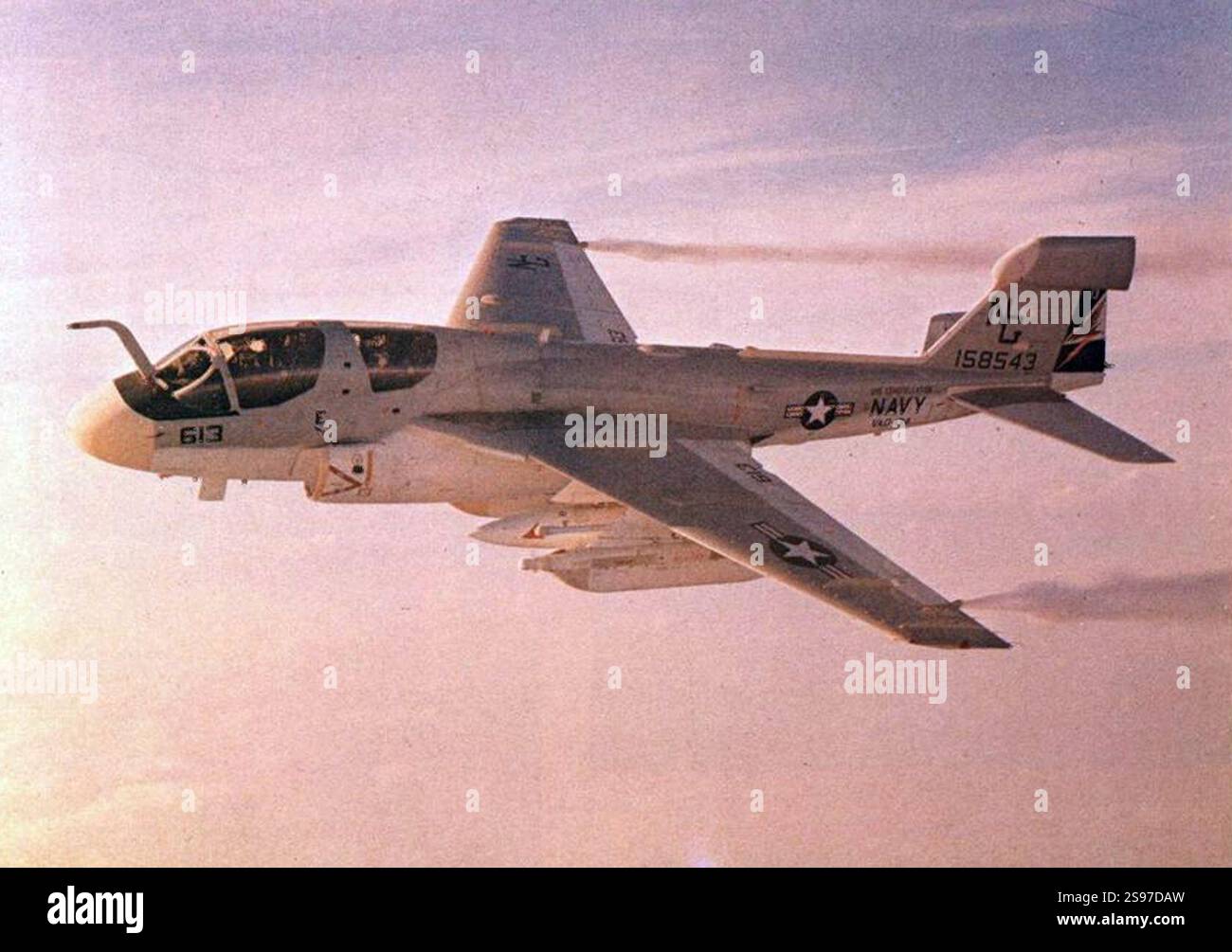 Grumman EA-6B Prowler of VAQ-134 in flight, in 1973 Stock Photo - Alamy