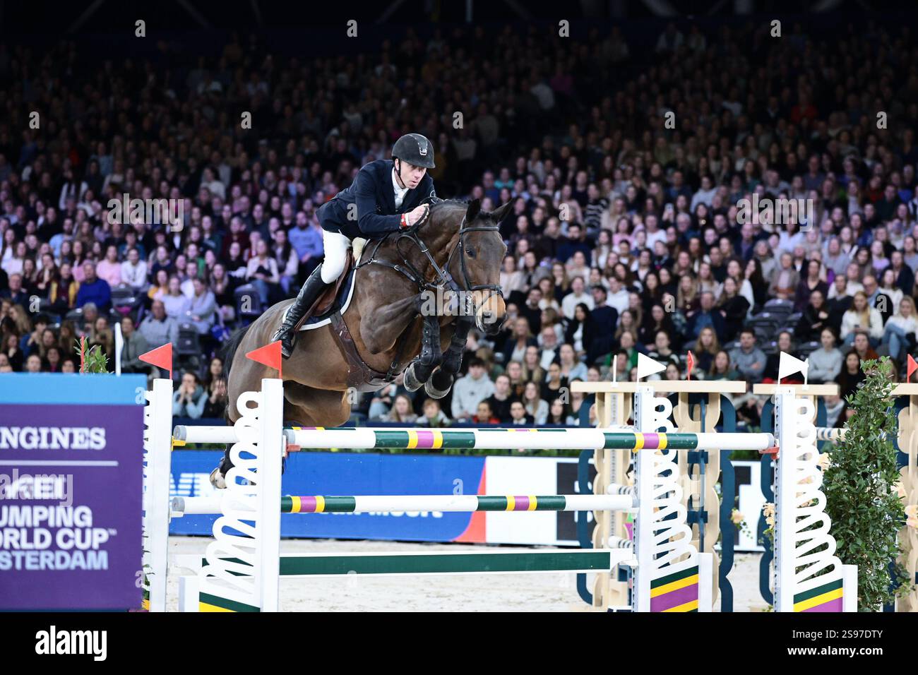 Hetzel horses gmbh hi-res stock photography and images - Alamy