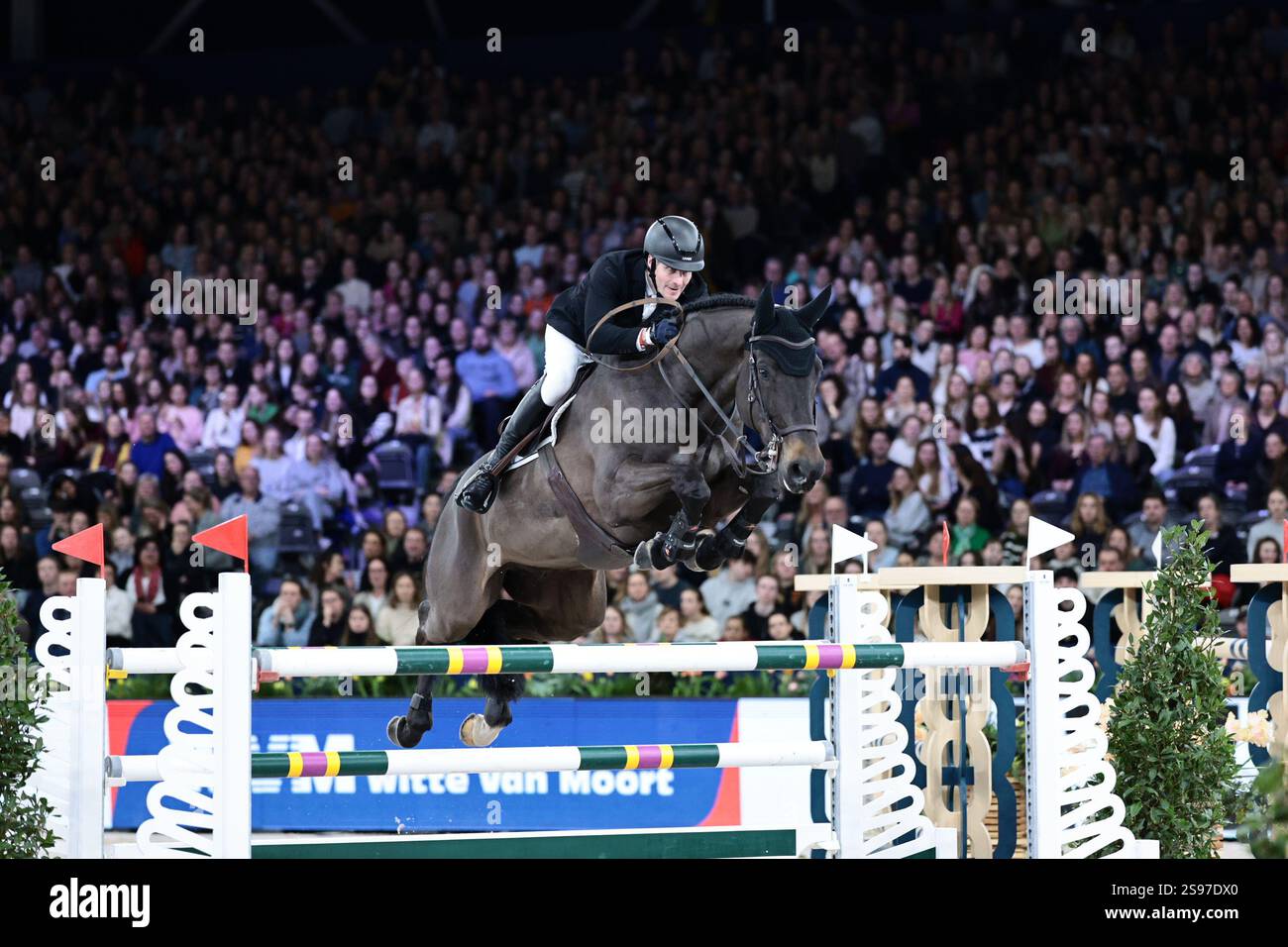 Michael Greeve of Netherlands with Denver during the De Telegraaf Prize ...