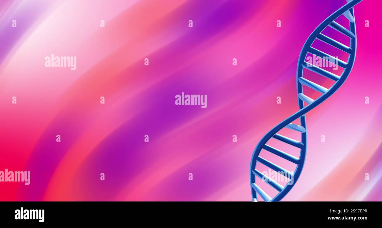 DNA strand image over vibrant pink and purple gradient background Stock ...