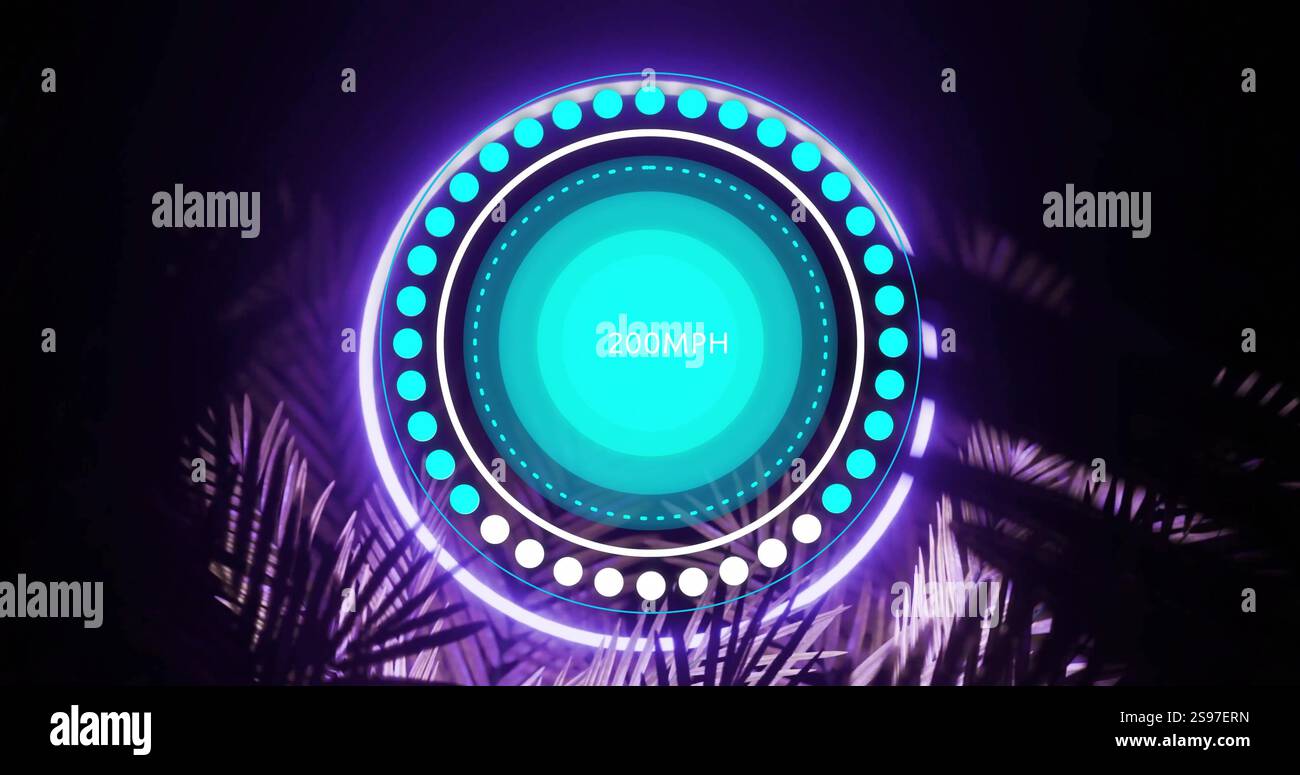 Speedometer image showing 200 mph over palm tree silhouettes Stock ...