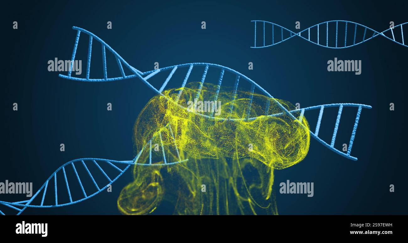 Image dna strands brain hi-res stock photography and images - Alamy
