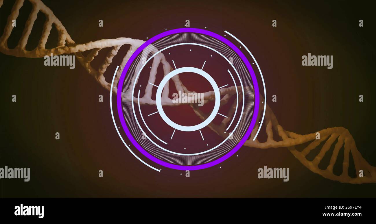 DNA strand and circular digital interface, scientific data processing ...