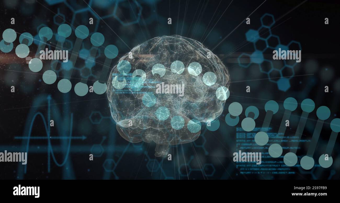 Image of data processing over dna strands and brain Stock Photo - Alamy
