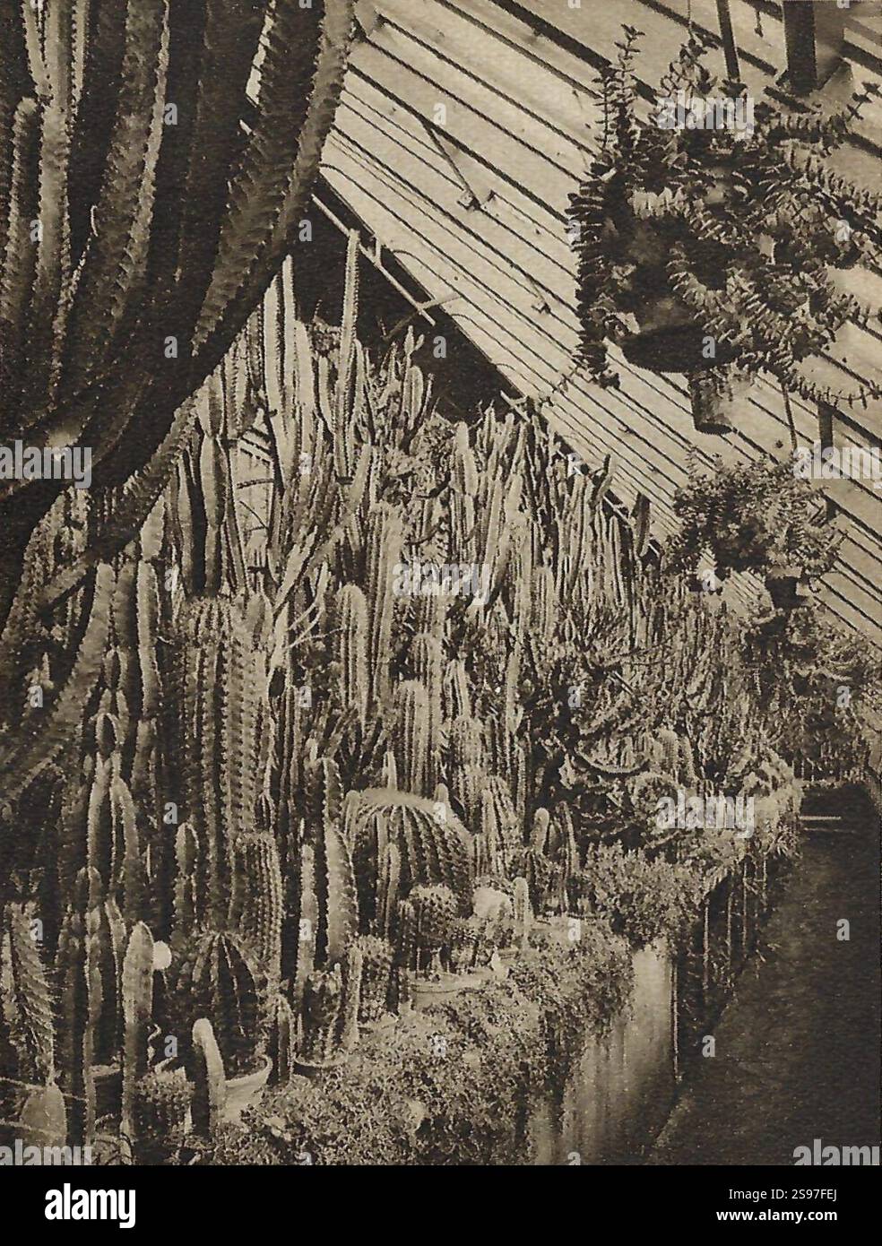 Gruson hi-res stock photography and images - Alamy