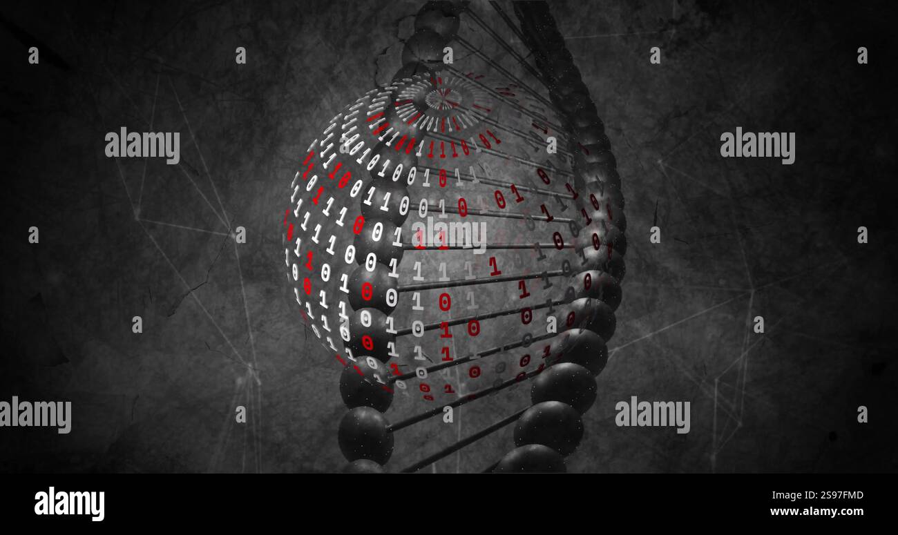 Binary code and DNA strand, scientific data processing image Stock Photo - Alamy
