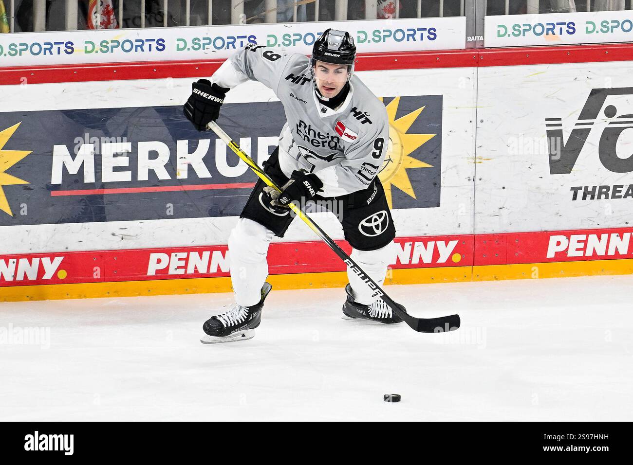 Eishockey DEL - 24/25 - 39.. Spieltag: Düsseldorfer EG vs Kölner Haie ...
