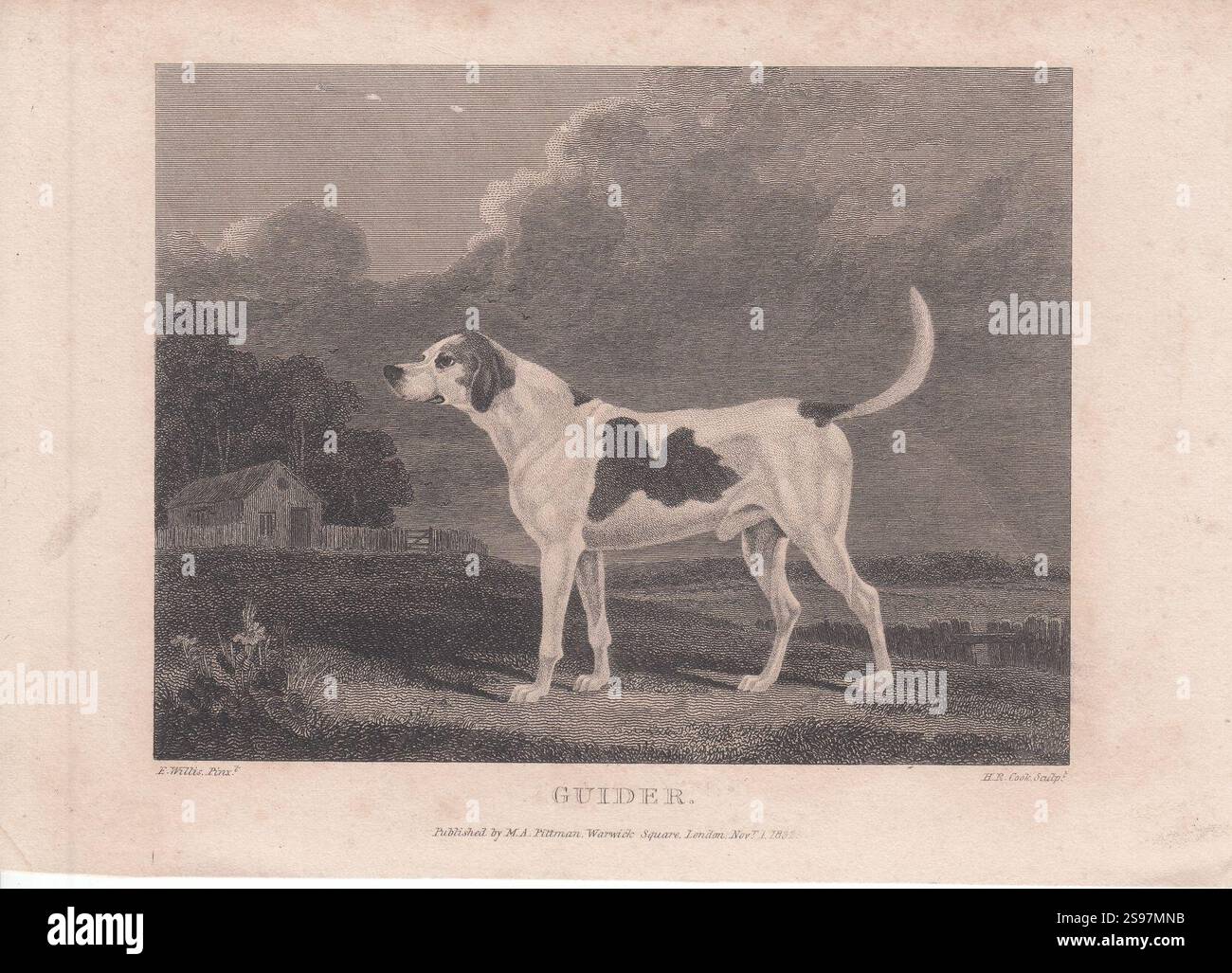 Guider c1832 M. A. Pittman Lithograph Print Dog Illustration Book Plate ...