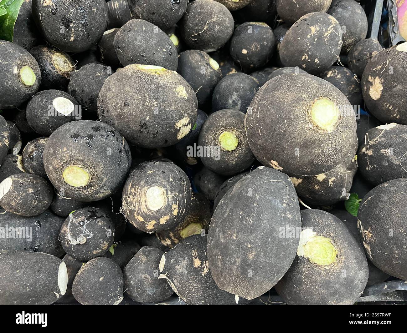 Siyah turp hi-res stock photography and images - Alamy