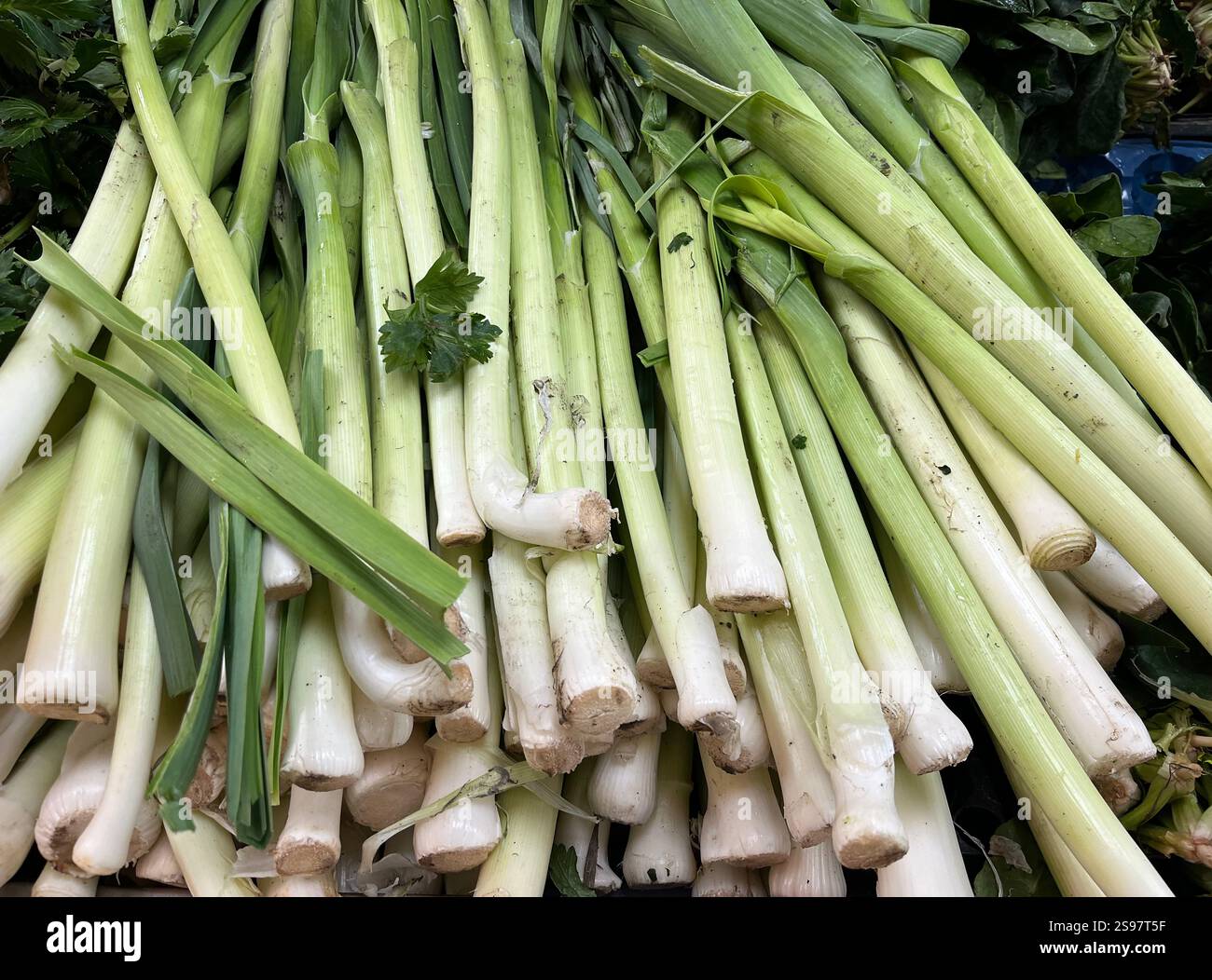 Raw leeks on a supermarket counter Stock Photo - Alamy