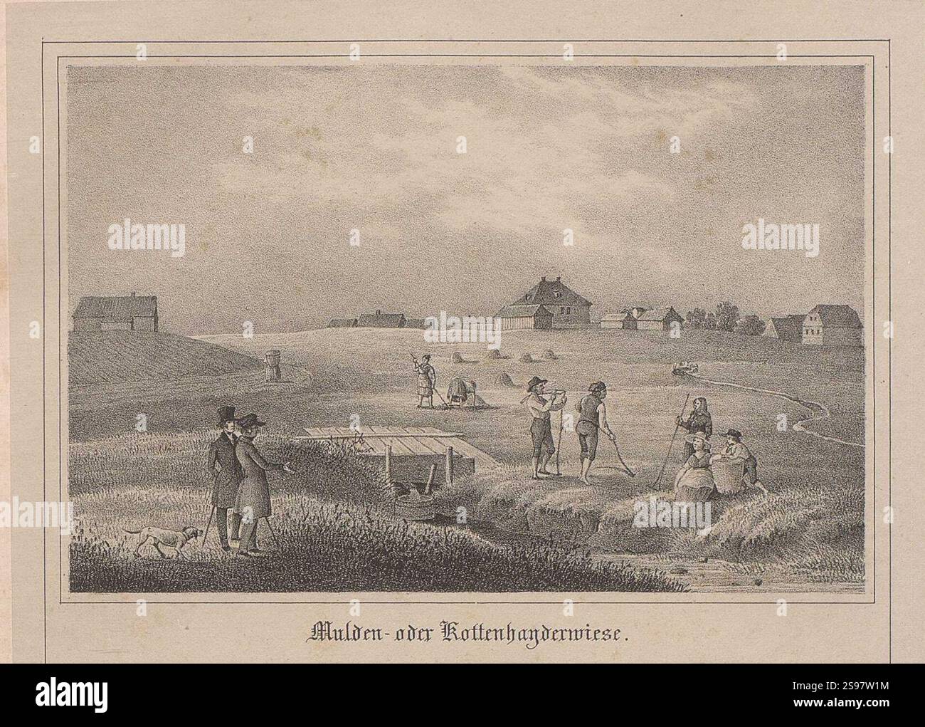 Gustav Täubert Zeichnung J. Riedel Lithografie Mulden- oder ...