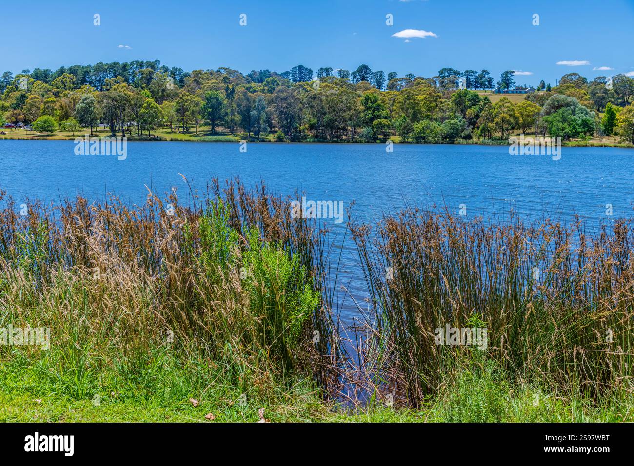 Lake Canobolas is a man-made reservoir located near Orange at the foot ...