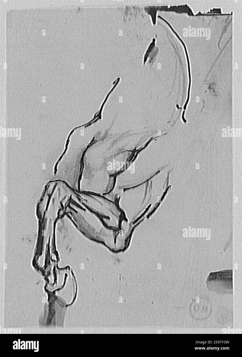 Gustave Moreau-Etude d avant-corps et patte de cheval-Des. 6466 Stock ...