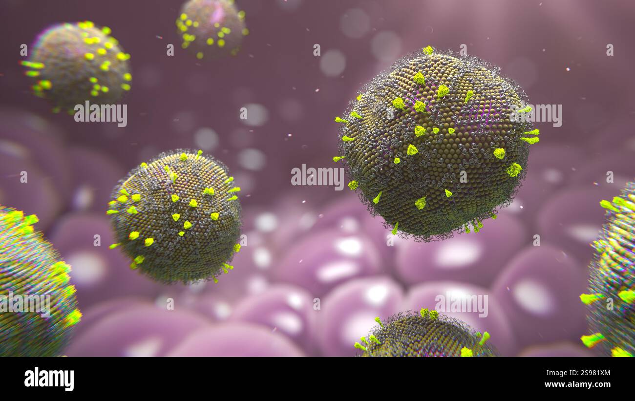 Illustration of human metapneumovirus (hMPV) particles. This is a ...